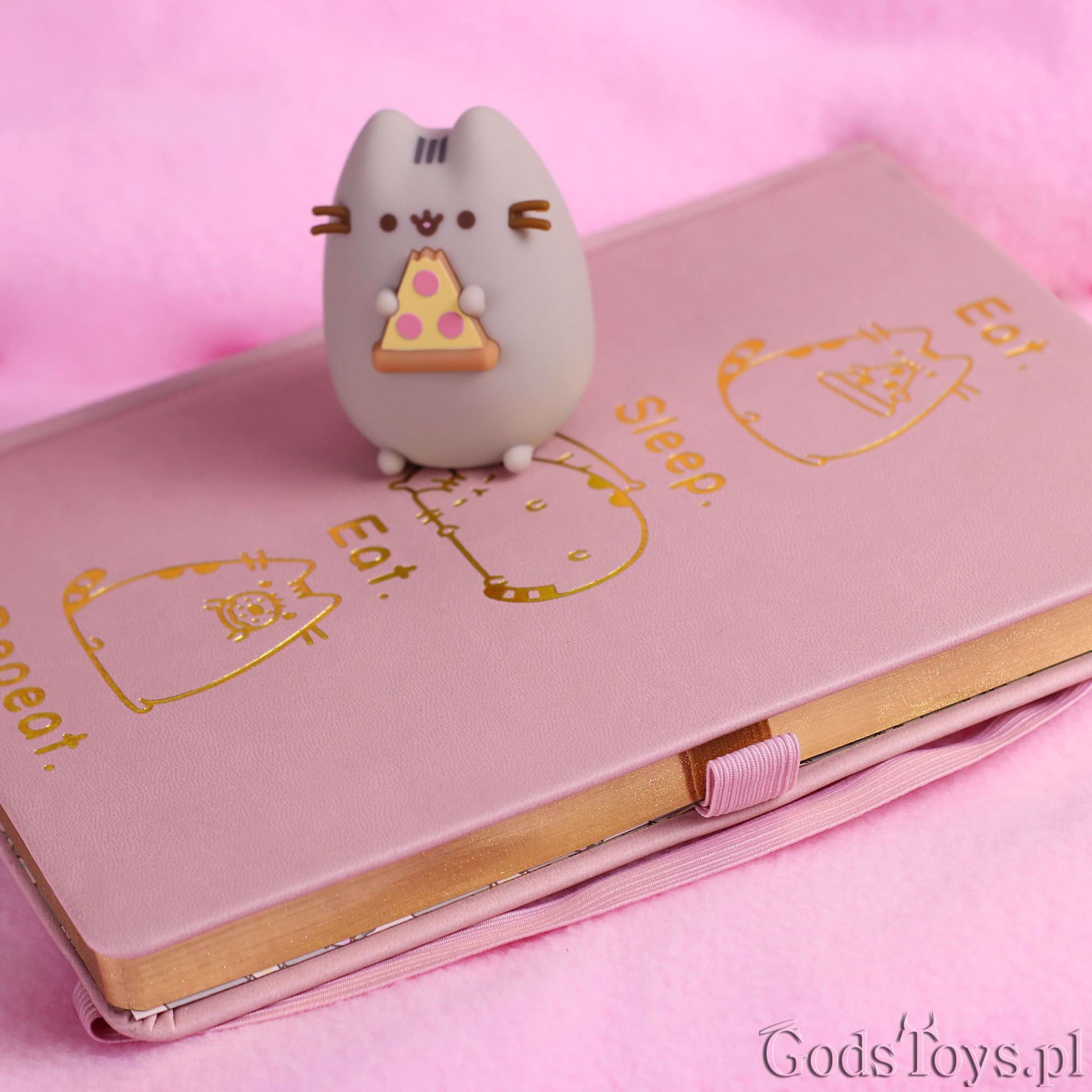 Pusheen Notes A5 - GodsToys.pl